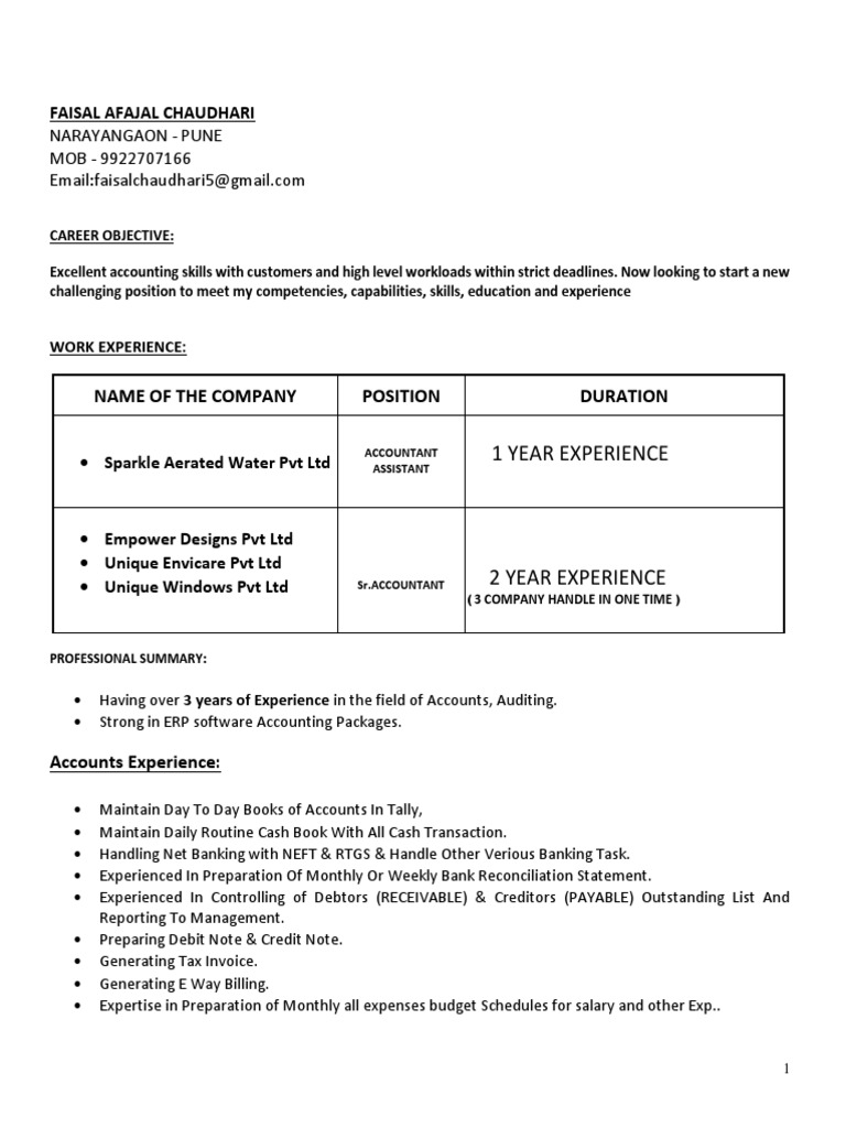 RESUME - Faisal Updated | PDF | Debits And Credits | Services (Economics)