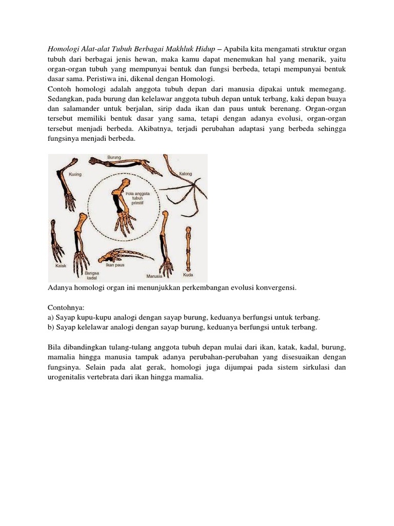 Homologi Dan Analogi | PDF