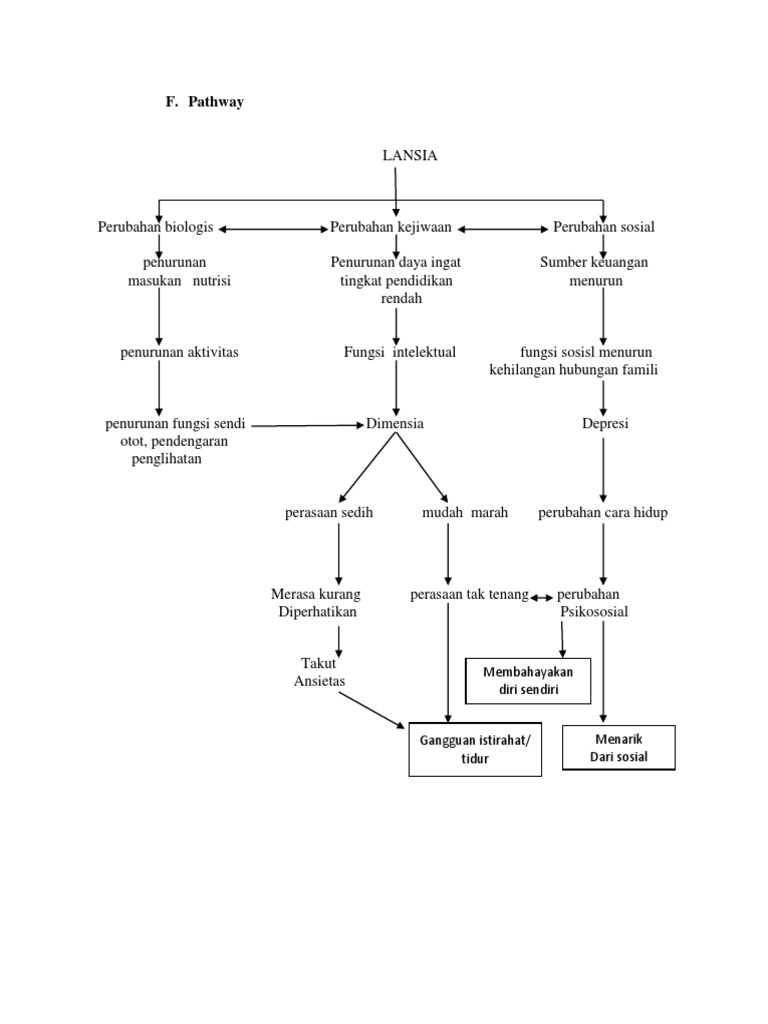 Pathway Depresi | PDF