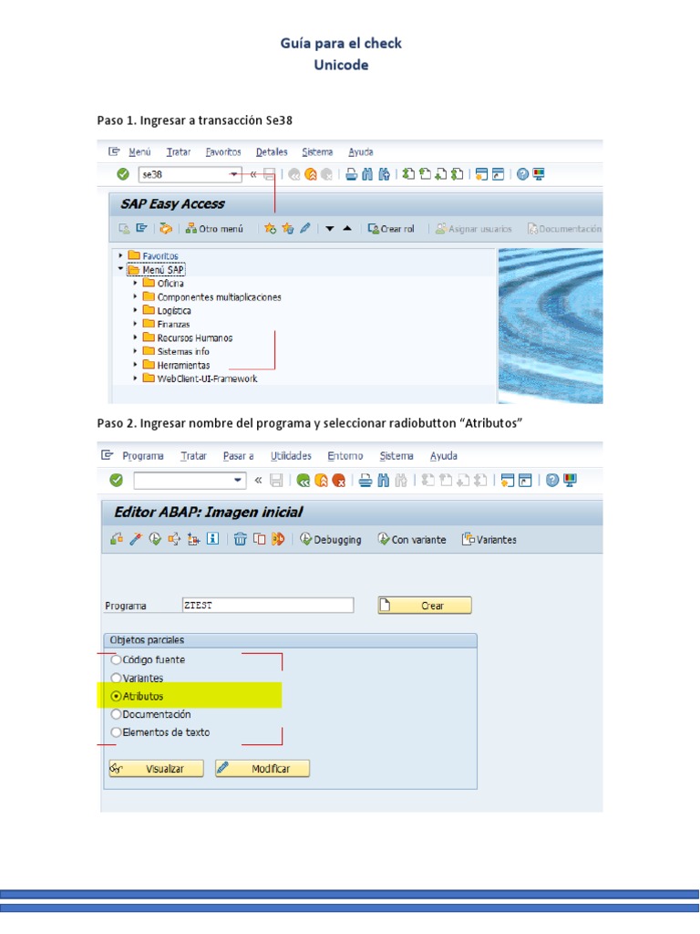 Pasos para Activar Flag Unicode | PDF | Informática | Informática y ...