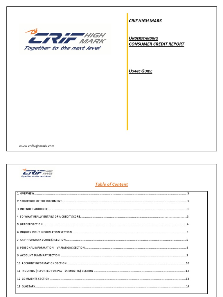 Understanding Consumer Credit Report | PDF | Credit Card | Credit History