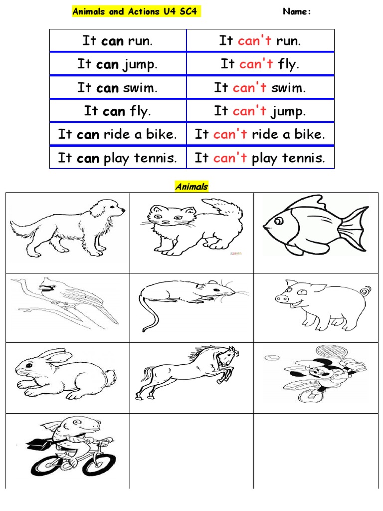 Animals and their abilities comparison chart | PDF