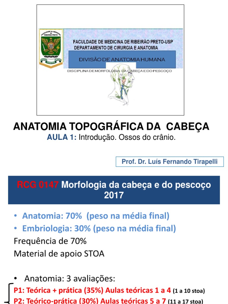 Anatomia do Crânio e Face | PDF | Crânio | Cabeça e pescoço humano