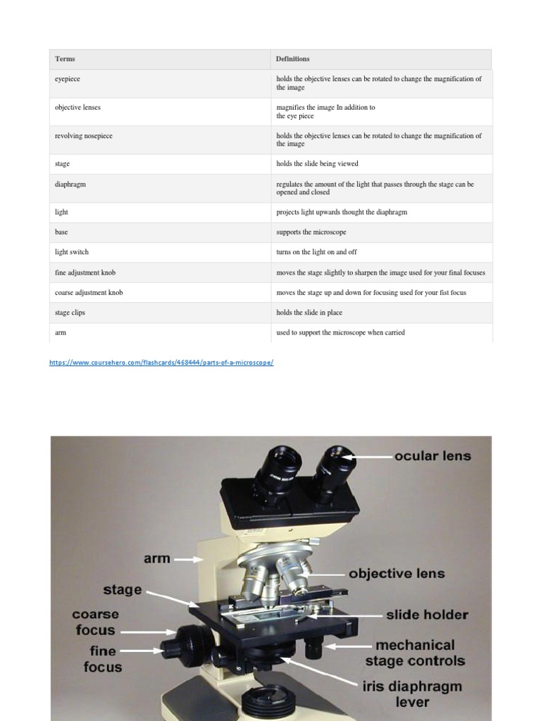 Microscope Parts and Definitions Guide | PDF