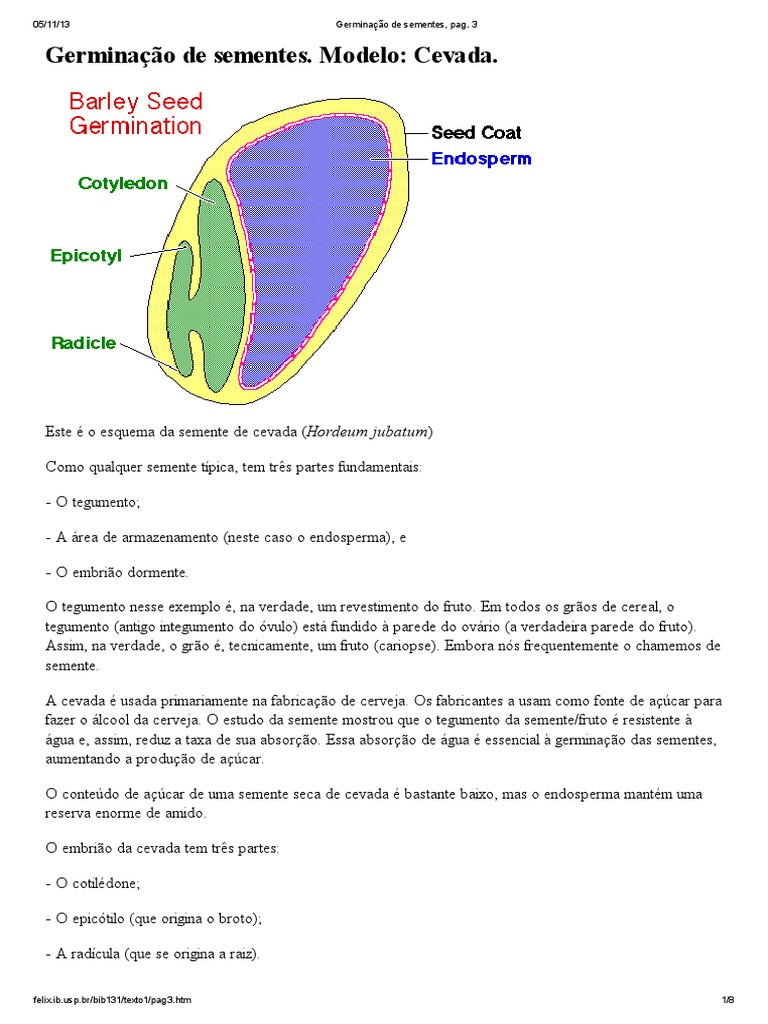 Germinação de Sementes, CEVADA | PDF | Semente | RNA