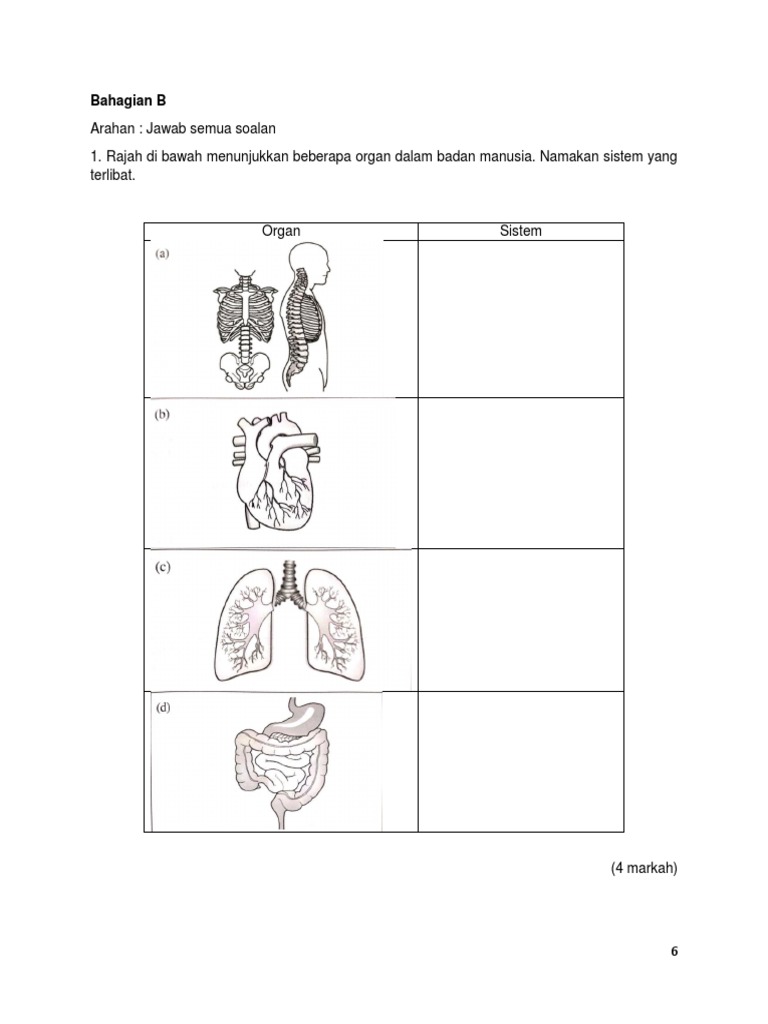 PT3 Reading Sample Test - QP | PDF