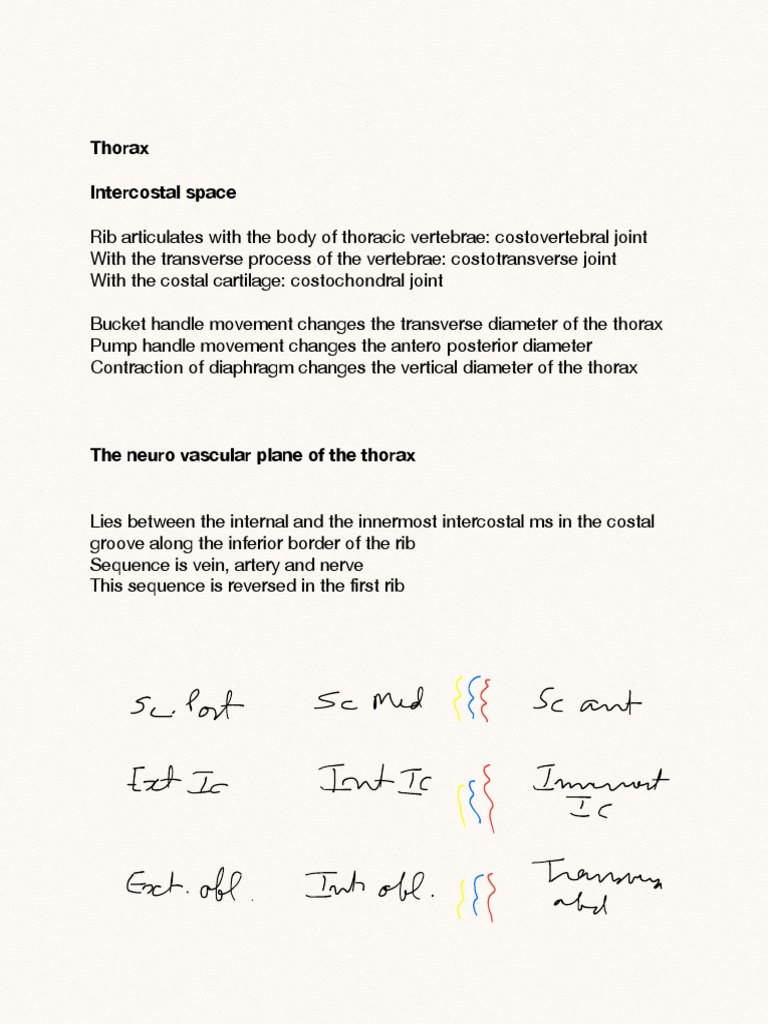 Dams Notes | PDF | Coronary Circulation | Heart