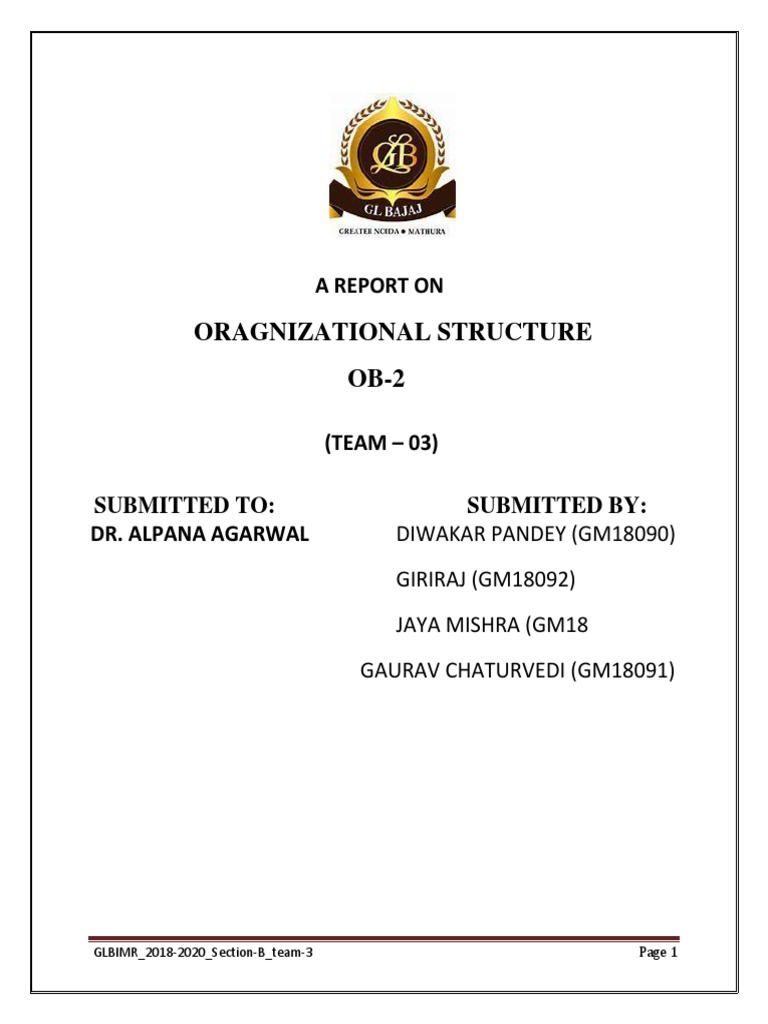 A Report On Organizational Structure | PDF | Organizational Structure ...