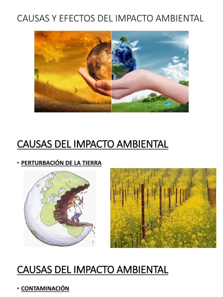Causas y Efectos del Impacto Ambiental | PDF