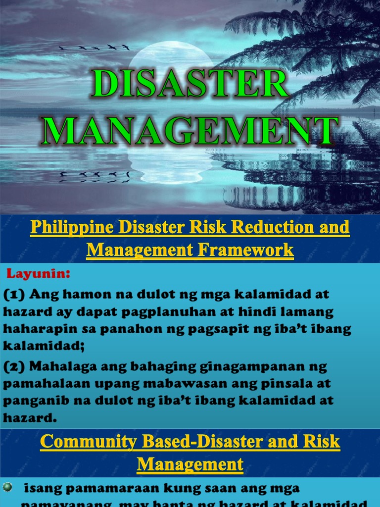 PDRRMF | PDF