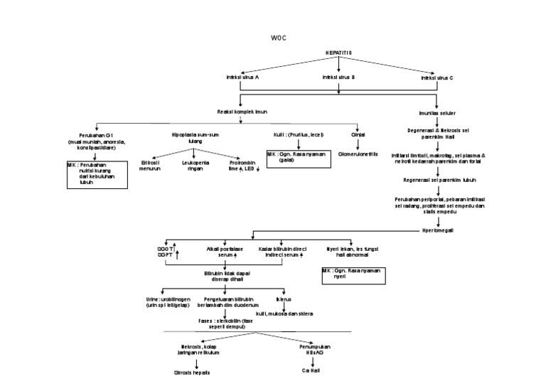 WOC Hepatitis | PDF | Medicine | Liver
