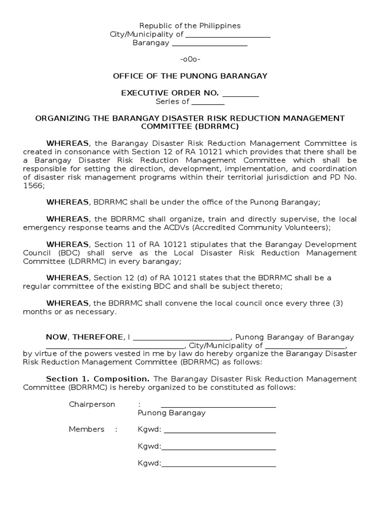 Bdrrmc Pdf Emergency Disaster Risk Reduction
