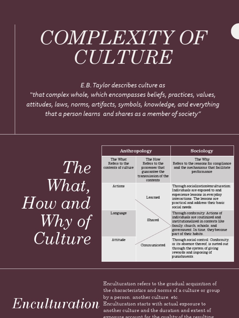 Complexity of Culture | PDF | Attitude (Psychology) | Morality