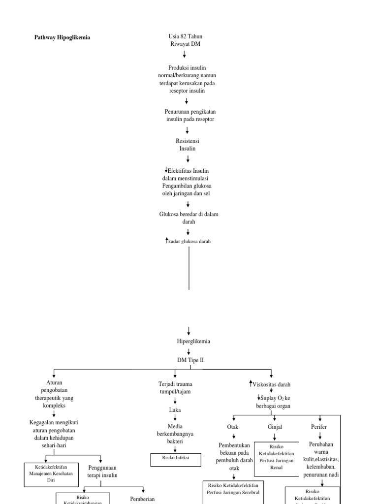 Woc Hipoglikemia Fix | PDF