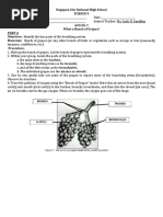 7es New DLL Grade 9 Science | PDF | Circulatory System | Teachers