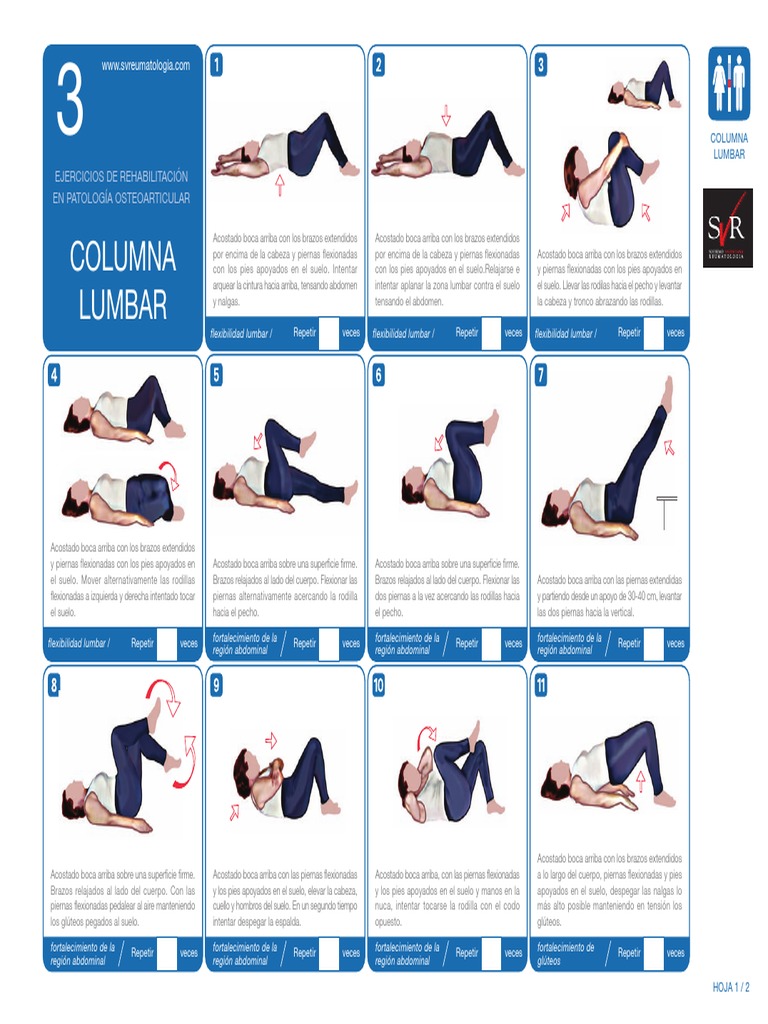 03-Ejercicios-Columna-Lumbar.pdf | Términos anatómicos de ubicación | Abdomen | Prueba gratuita ...