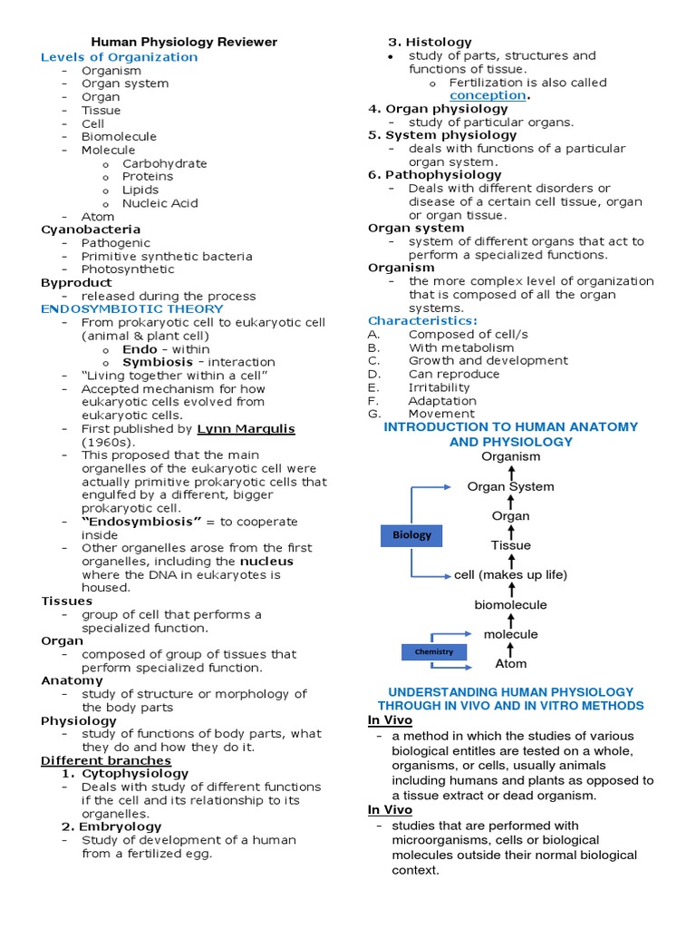 Human Anatomy and Physiology | PDF | Anatomical Terms Of Location ...