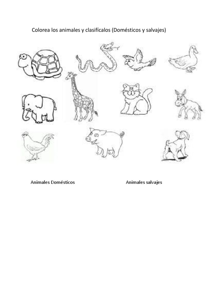 Actividades Animales Salvajes | PDF | Naturaleza