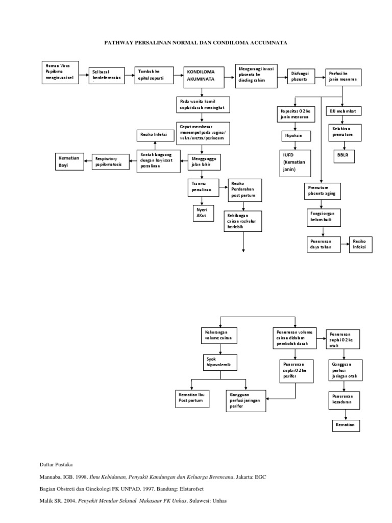 Pathway Persalinan Normal Dan Condiloma Accumnata | PDF