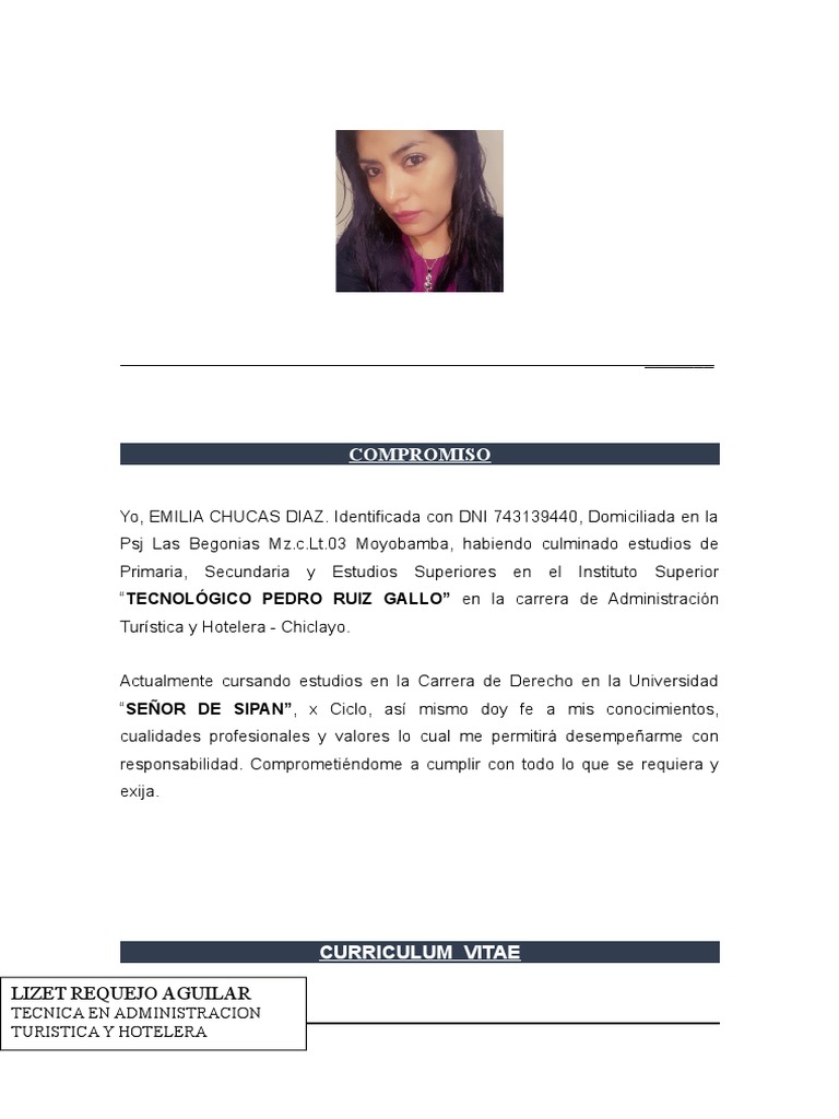 Curriculum Emilia | PDF | Turismo | Comportamiento organizacional