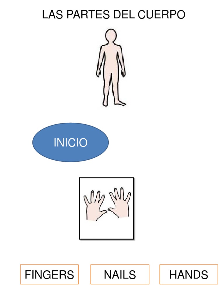 Partes Pictogramas Partes Del Cuerpo | PDF