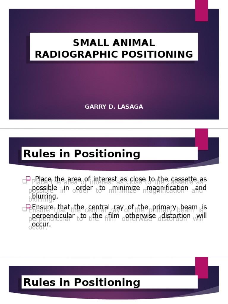 Small Animal Positioning | PDF