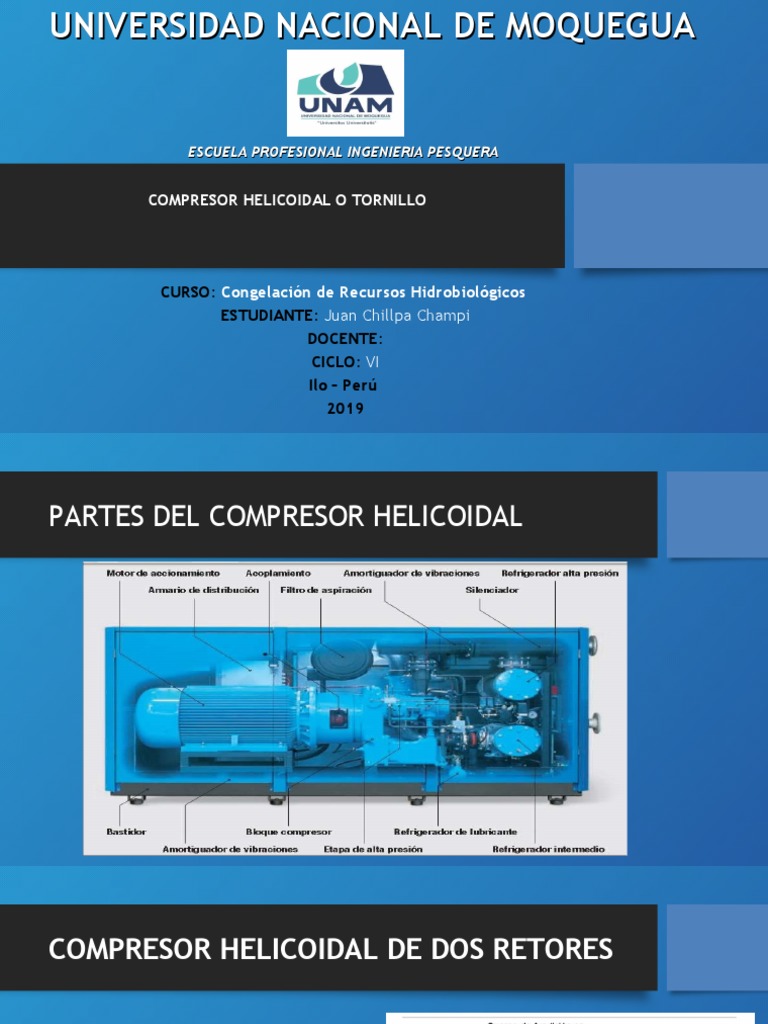 Compresor Helicoidal | PDF | Engranaje | Tecnología energética