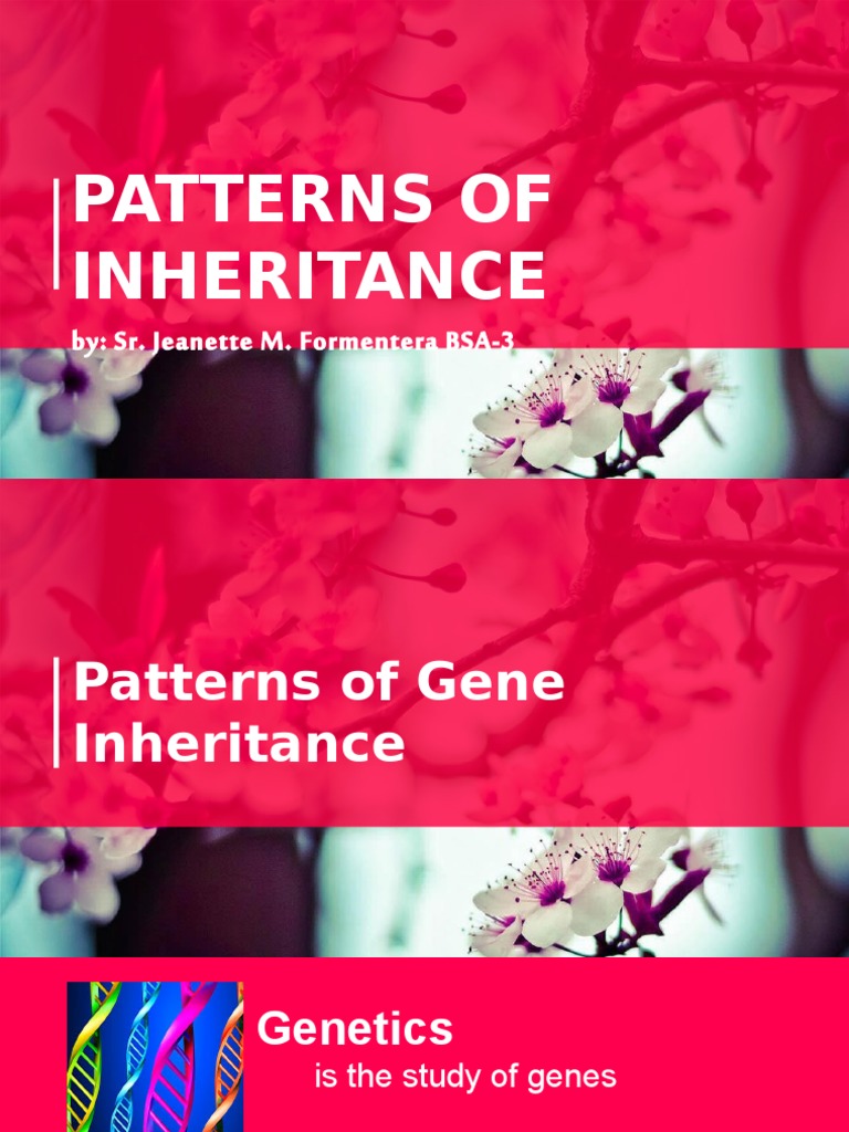 REPORT 1 Patterns of Inheritance | PDF | Dominance (Genetics) | Allele