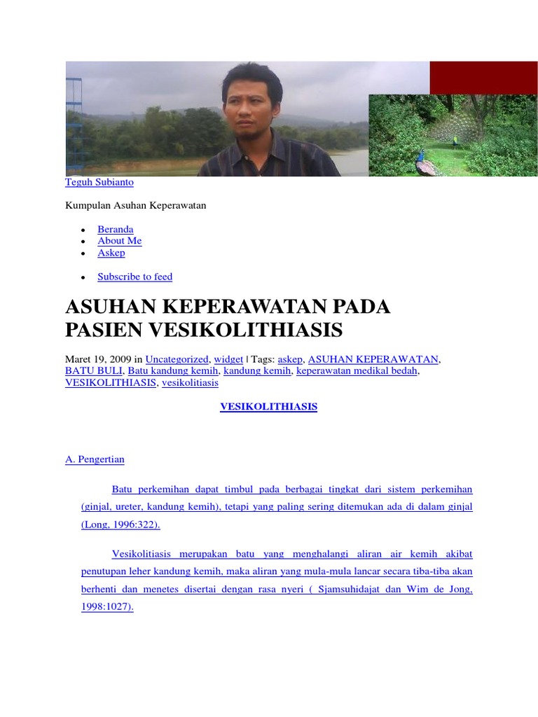 Vesikolithiasis | PDF