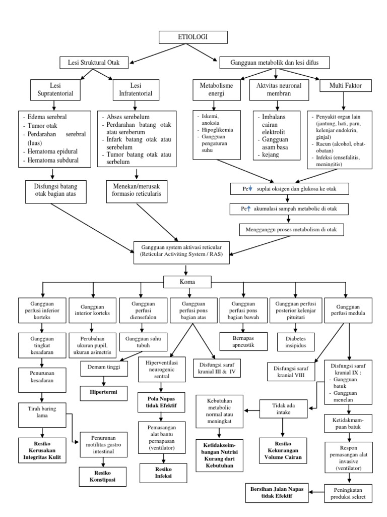Fix Pathway Koma | PDF