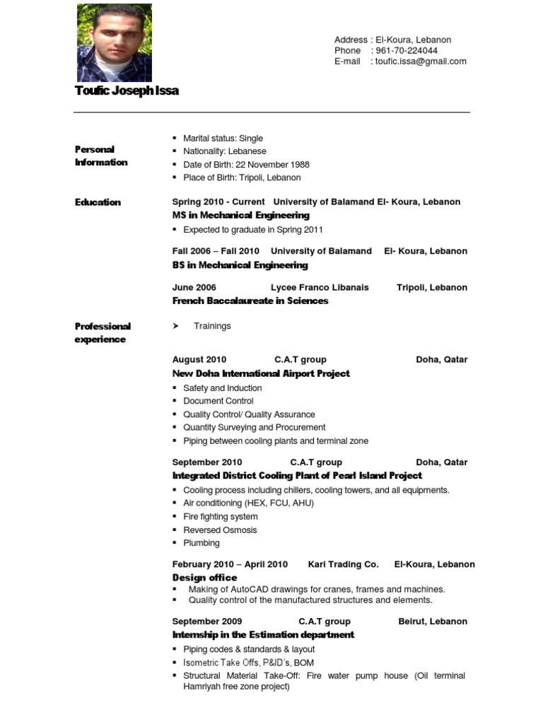 Toufic Issa CV | PDF | Lebanon | Mechanical Engineering