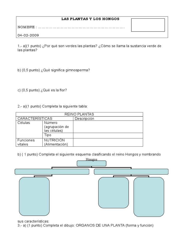 Características y Funciones de Plantas y Hongos | PDF | Métodos y ...