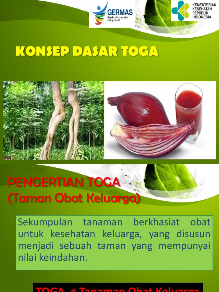 Pengertian dan Manfaat Toga | PDF | Memasak, Makanan, & Anggur | Sains ...