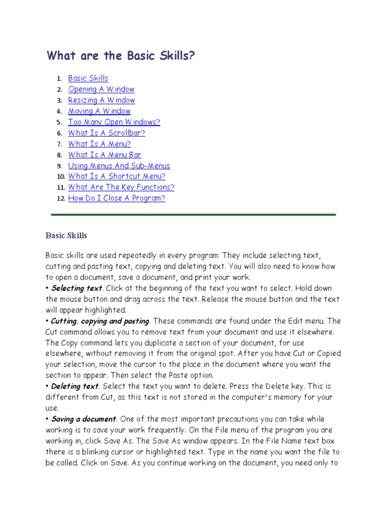 What Are The Basic Skills? | PDF | Window (Computing) | Menu (Computing)
