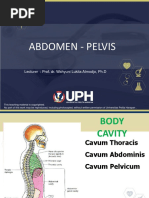Pelvic Floor Impact Questionnaire - Short Form 7 (PFIQ-7) | PDF ...