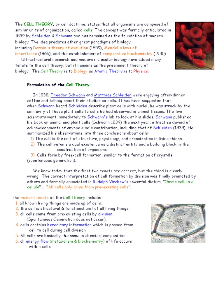 Cell | PDF | Cell (Biology) | Biology