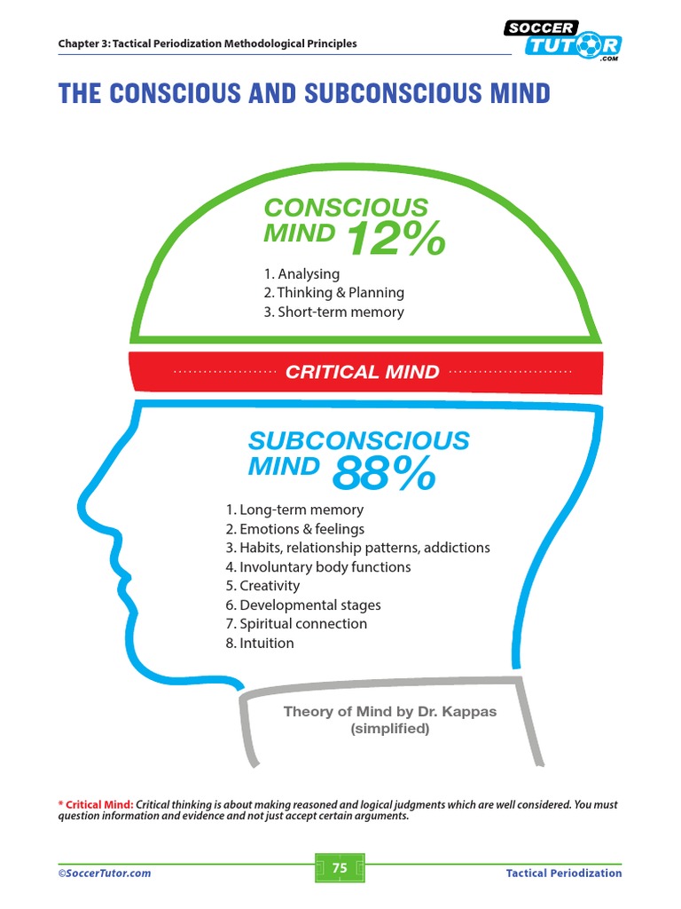 Tactical Periodization Training The Brain To Make Quick Decisions PDF ...