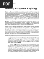 Leaf and Leaflet Morphology Guide | PDF | Leaf | Branches Of Botany