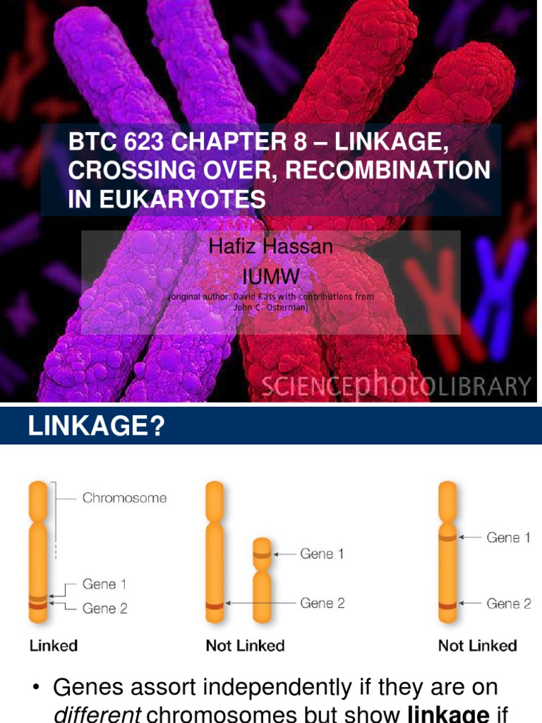 Chapter 8 - Linkage, Crossing Over Chromosome Mapping in Eukaryotes 5 ...