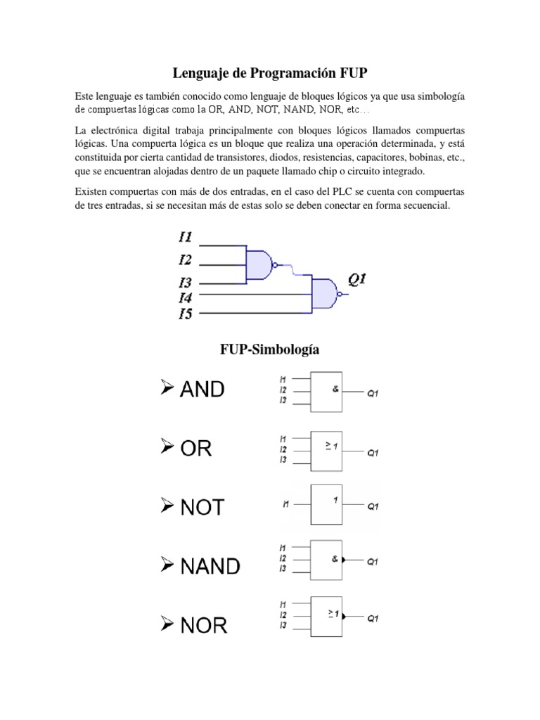 Lenguaje de Programación FUP | PDF