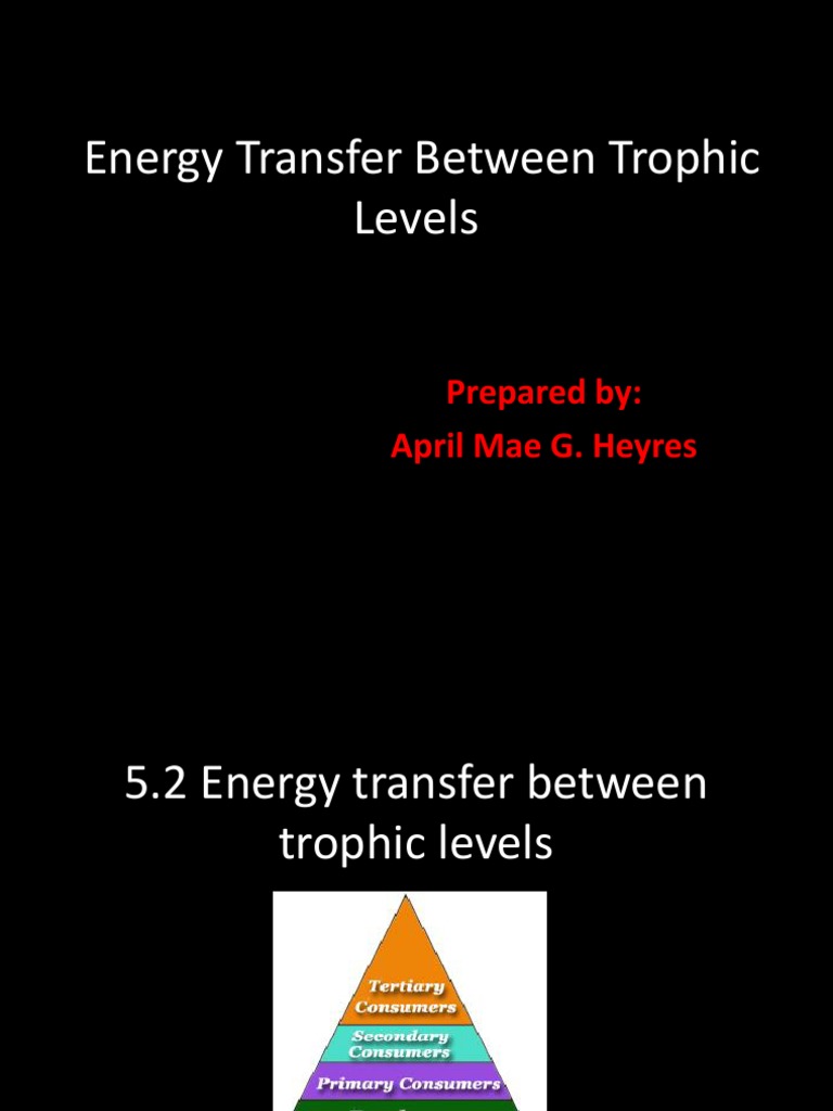 5.2 Energy Transfer Between Trophic Levels | PDF | Food Web ...