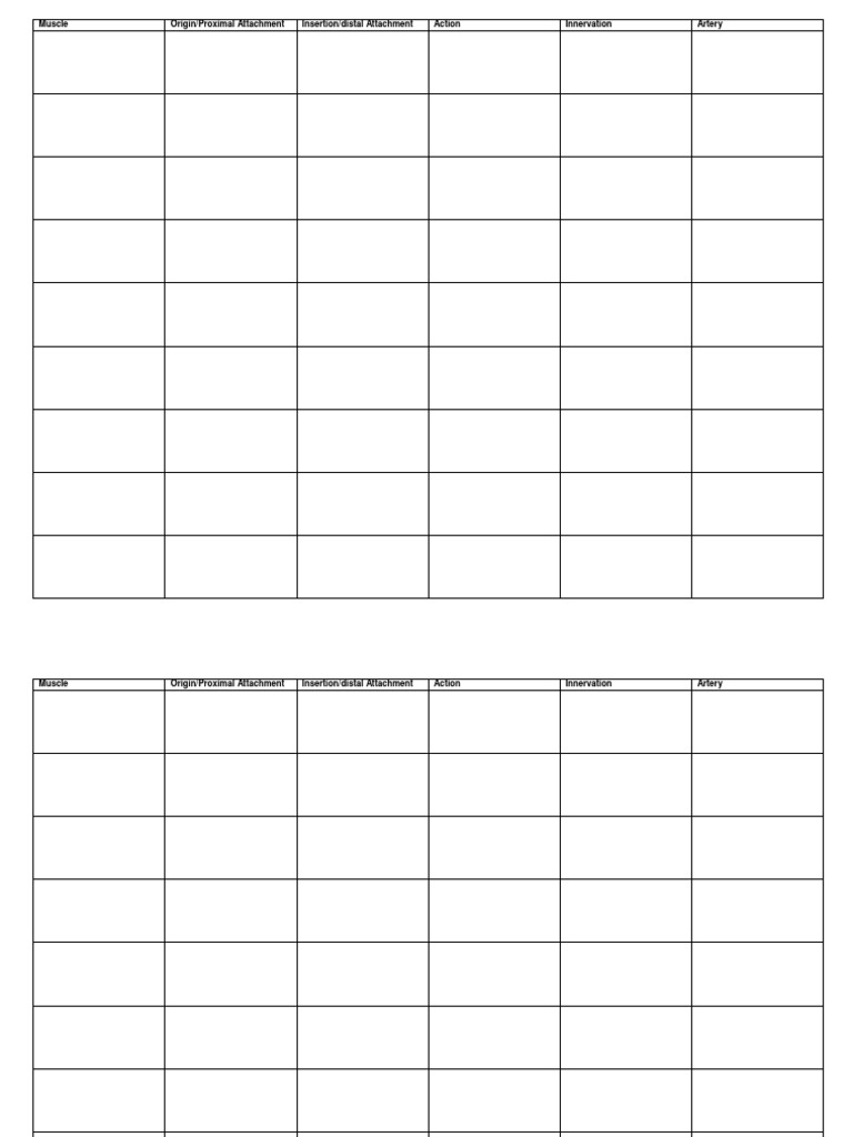 Anatomy Table 9:12 | PDF