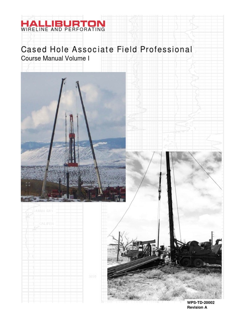 Well Logging Notes | PDF | Petroleum Reservoir | Earth Sciences