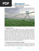 Maize Crop Growth Stages Chart | PDF