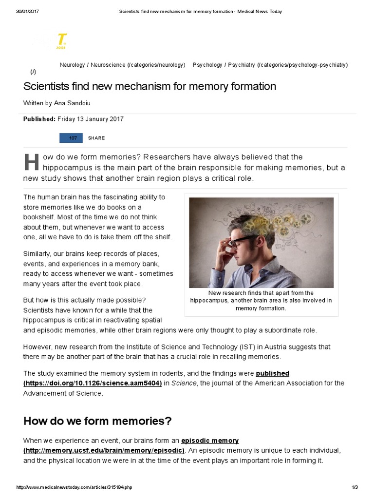 Scientists Find New Mechanism For Memory Formation: How Do We Form ...