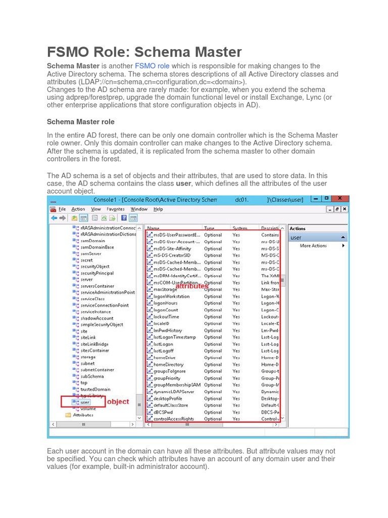 FSMO Role: Schema Master | PDF | Active Directory | Computer Data