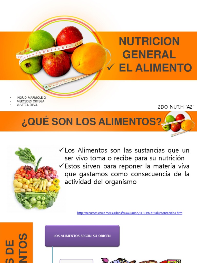 Guía Básica de Tipos de Alimentos | PDF | Vegetarianismo | Veganismo