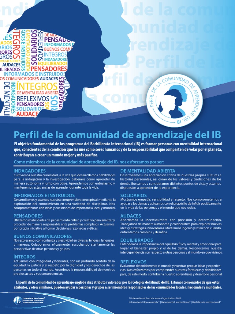 Perfiles Ib | PDF | Creatividad | Aprendizaje
