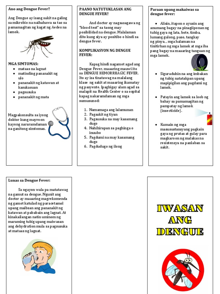 Dengue Brochure | PDF