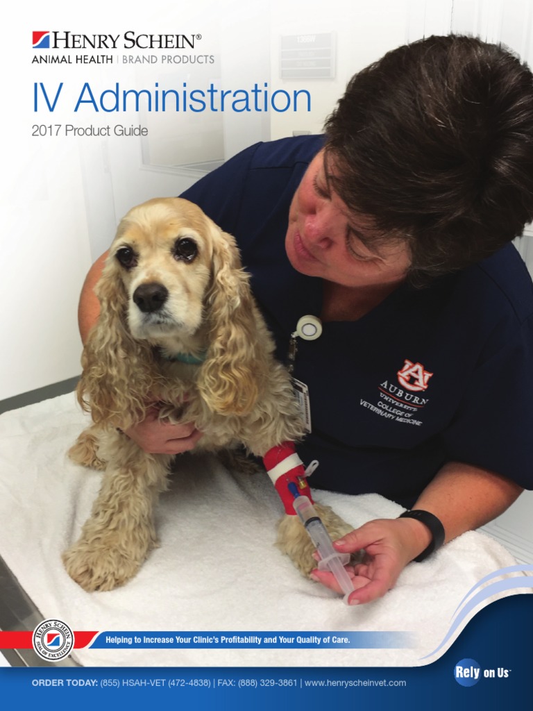 IV Admin 2017 | PDF | Intravenous Therapy | Flow Measurement